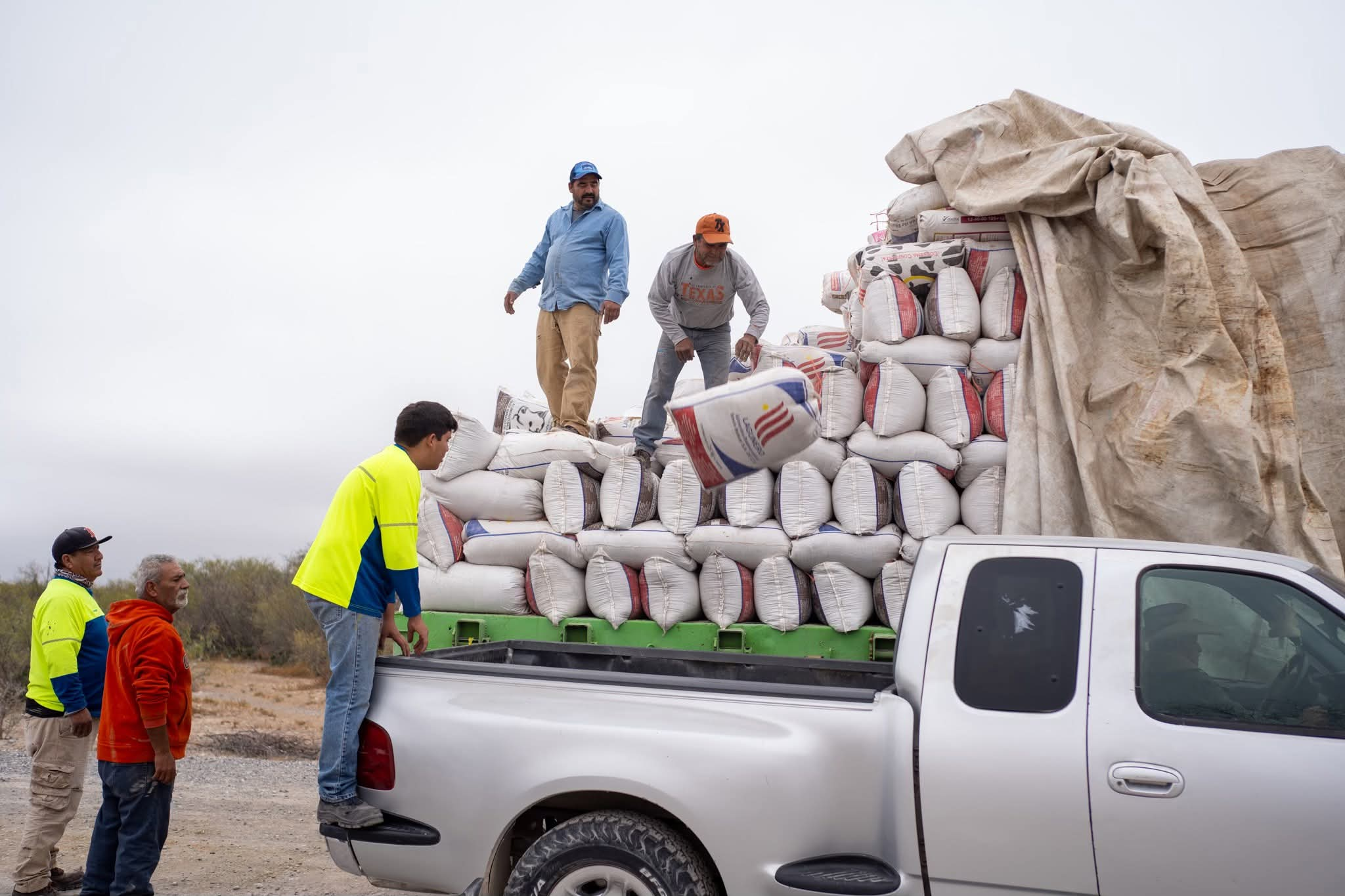 FORTALECE YESICA SIFUENTES AL SECTOR RURAL CON ENTREGA DE POLLINAZA ...